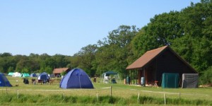 Willow Tree Centre Campsites - Willow Tree Centre